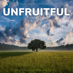 Unfruitful — Spiritual Agriculture, Part 2 – JLP Sermon Podcast